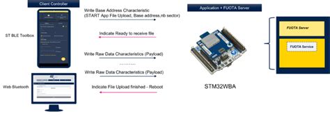 File Connectivity Wba Fuota Topology Png Stm32mcu