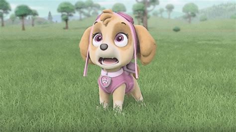 Skye Paw Patrol Fan Art 40170020 Fanpop