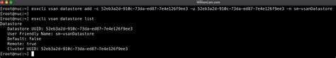 How To Bootstrap Esxi Compute Only Node And Connect To Vsan Hci Mesh