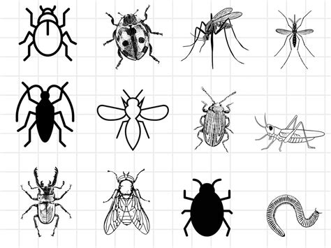 Insect Svg Bundle Insect Clipart Bundle Insect Silhouette Insect Cut Files Insect Clipart