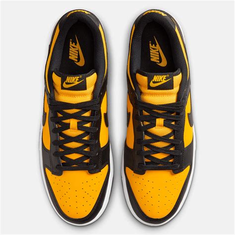 Nike Dunk Low Mens Shoes Βlack Fz4618 001