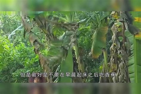 早上千万别再吃这3种食物了，对身体危害极大，还含有大量致癌物食物危害致癌物