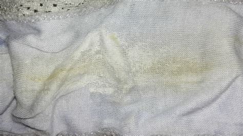 My Wifes Dirty Panties 830