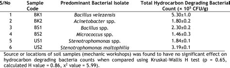 Total Heterotrophic And Hydrocarbon Degrading Bacterial Counts