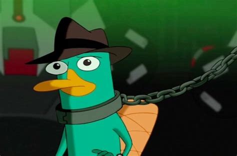 Perry The Platypus Images Perry Hd Wallpaper And Background Photos
