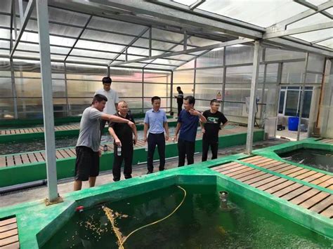 【学悟见创•见 55】对渔业园开展联合专项检查辛集镇沂南县信号