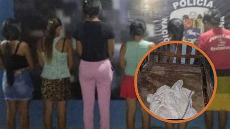 Enjaulado Y Desnutrido Sol Quintana Roo Noticias Quintana Roo