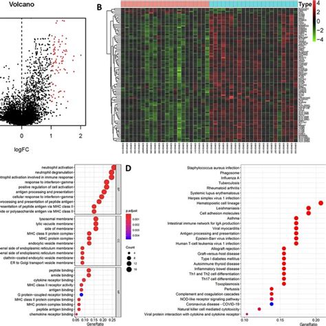 Differentially Expressed Genes And Biological Function Analysis Based Download Scientific