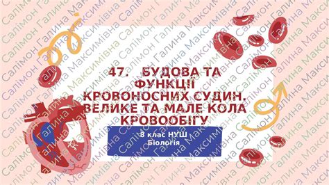 Презентація до уроку «§47 Будова та функції кровоносних судин Велике і