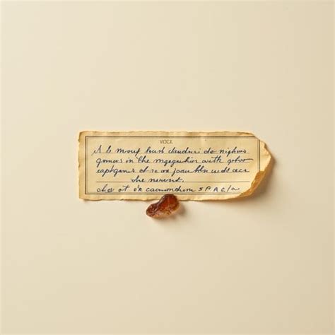 Free Specimen Label Art Photo Specimen Taxonomy Handwritten