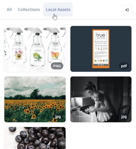 Adobe Creative Cloud Plugin Asset Manager Support