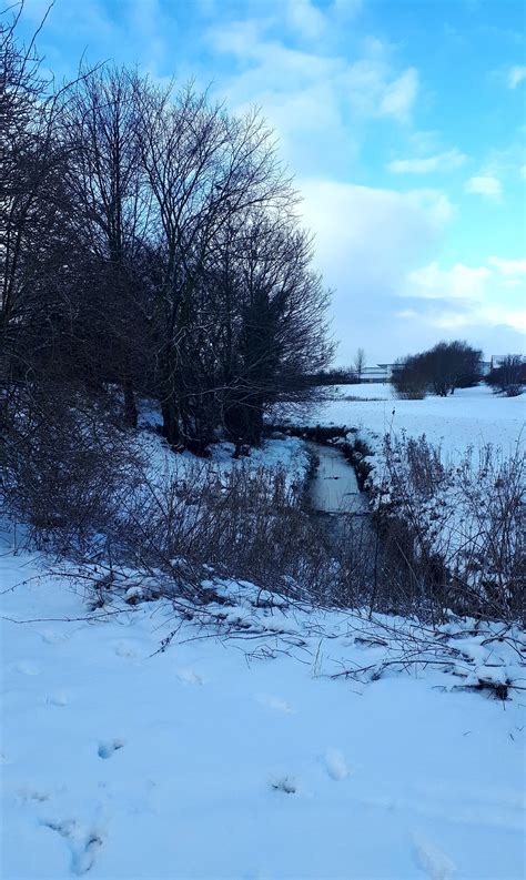 Early Morning Snowy Stream Scrolller