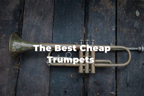 The Different Parts Of A Lute Anatomy And Structure