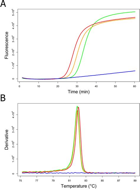 A Loop Mediated Isothermal Amplification LAMP Assay For Rapid Identification Of Bemisia Tabaci