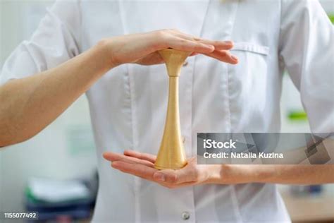 클리닉 병원에서 흰색 유니폼을 입은 전문 의료 의사 산부인과 의사 배경에 의자 및 기타 의료 장비가있는 부인과 캐비닛 여자 건강 및 임신 개념 분만에 대한 스톡 사진 및