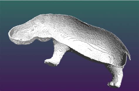 Section Of The Hippo Model Showing The Interior Of The Voxelized Surface Download Scientific