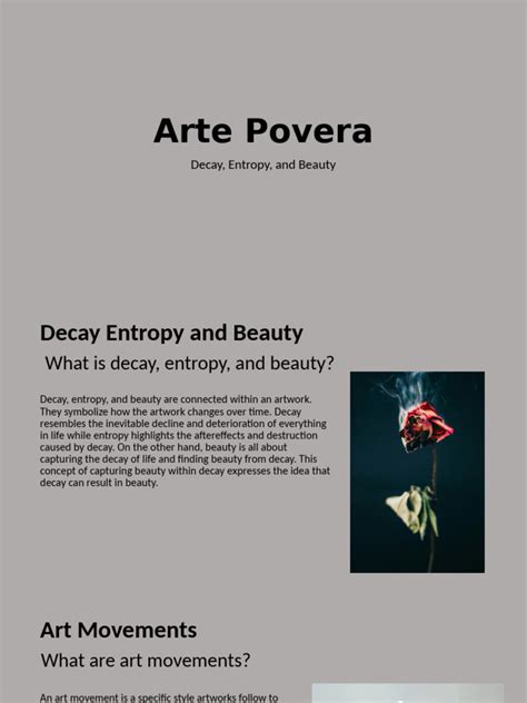 Decay Entropy And Beauty Investigation Pdf
