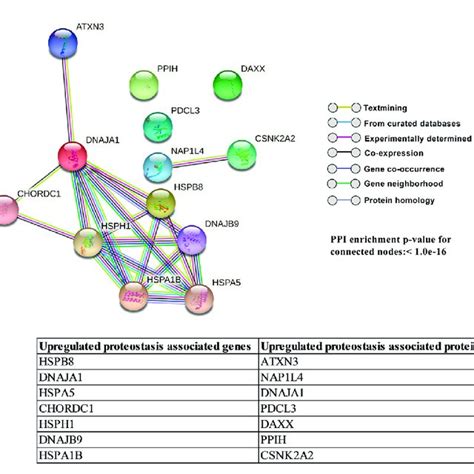 Graphical Abstract Derived From The Multiomics Analysis Representing Download Scientific