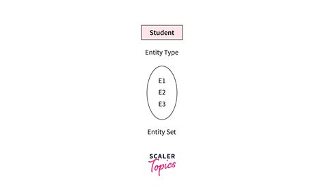 What Is ER Model In DBMS Scaler Topics