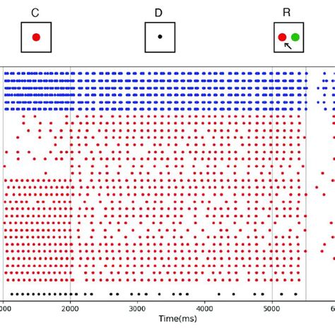 Spike Raster Of Neural Circuit Under Persistent Activity Black Dots Download Scientific