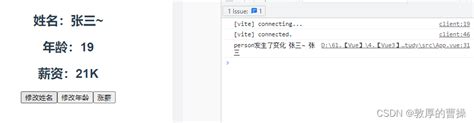 【vue3】vue3中监视watch和watcheffect使用（图文代码）vue3中监听对象属性的变化 Csdn博客