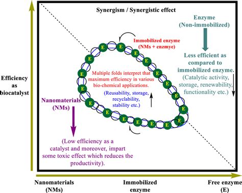 Synergistic Effects Of Nanomaterials Immobilized Enzymes And Their Download Scientific Diagram