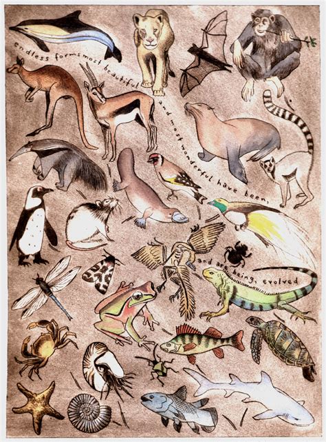 Endless Forms Most Beautiful