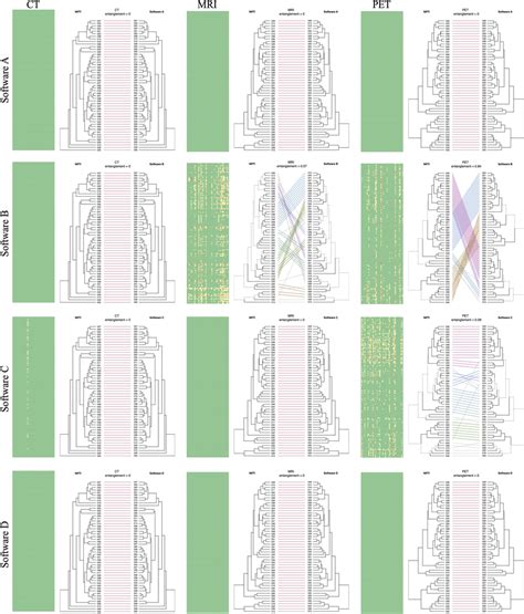measured differences in feature values and subsequent hierarchical