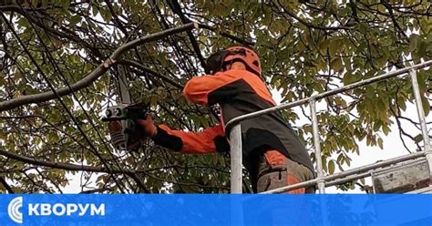 Започна прочистване на мрежите за ниско и средно напрежение в Община Дулово Кворум Силистра