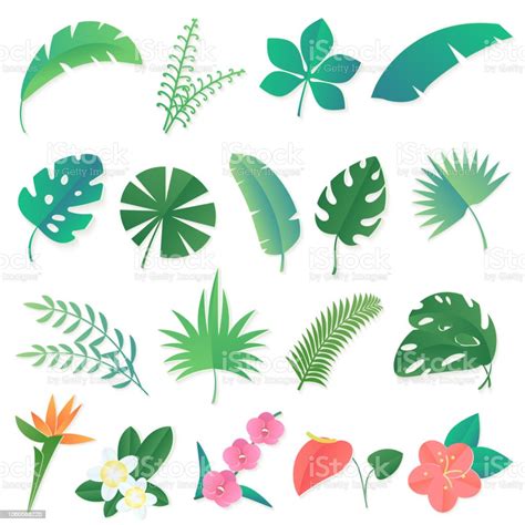 고립 된 열 대 잎의 벡터 만화 세트입니다 팜 바나나 잎 히 비 스커 스 Plumeria 꽃 우림에 대한 스톡 벡터 아트 및 기타 이미지 Istock