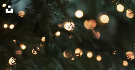 문자열 조명이 있는 녹색 크리스마스 트리 사진 Unsplash의 무료 크리스마스 이미지