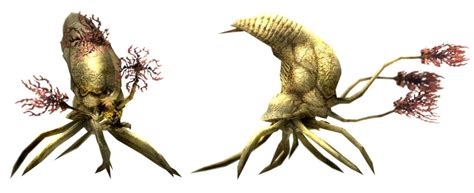 Flood Infection Form Halo Alpha Fandom
