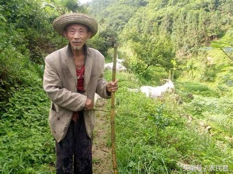 安康市平利縣大貴鎮淑河村一位狠心侄兒「坑害」親叔叔20多年 每日頭條