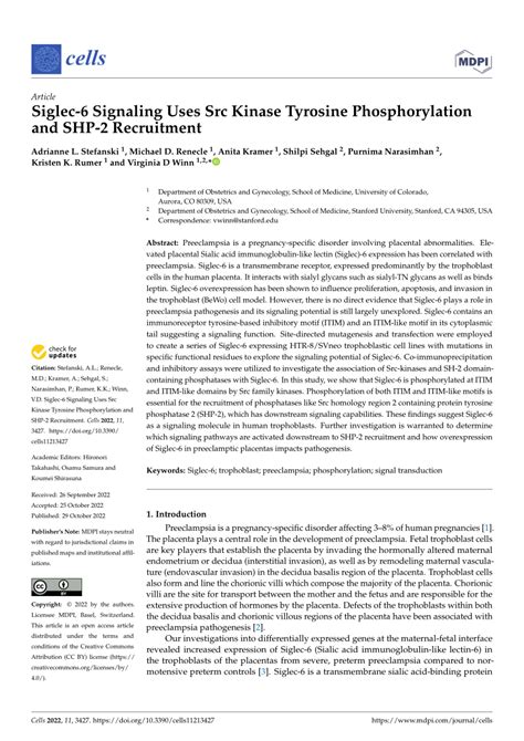Pdf Siglec 6 Signaling Uses Src Kinase Tyrosine Phosphorylation And