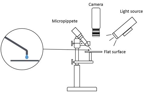 Schematic Of The Experimental Apparatus For Wettability Evaluation