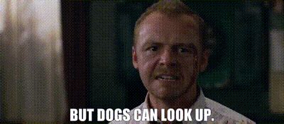 Yarn But Dogs Can Look Up Shaun Of The Dead 2004 Video S By