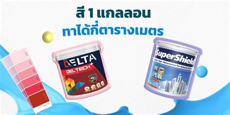สี 1 แกลลอน ทาได้กี่ตารางเมตร Scg Home Expert ปทุมธานี