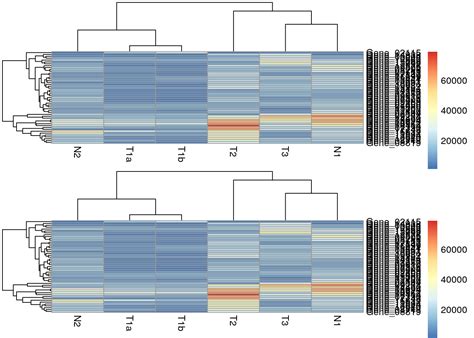 Making A Heatmap In R With The Pheatmap Package