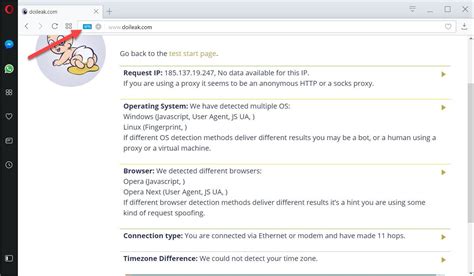 How To Use Opera VPN Gear Primer