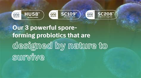 HU58™, SC208™ and SC109™ | Novozymes | Ingredients Network