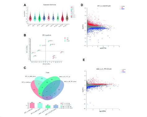 Comparison Of Gene Expression N 3 A Violin Plot Showed Gene