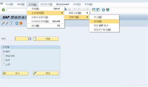 sap更改标准屏幕字段显示名称——文本增强 sap怎么设置显示字段名 csdn博客