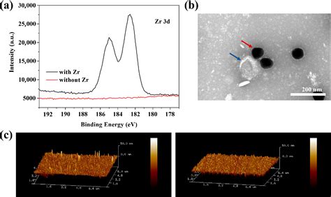 Figure 4 From Weak Value Amplification Based Biochip For Highly Sensitive Detection And