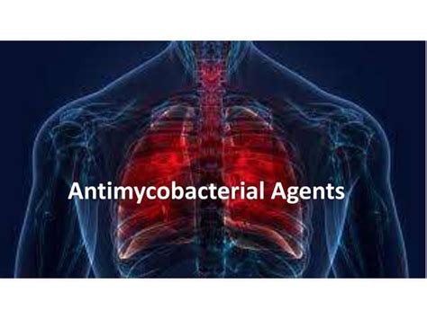 3 Mc Iii Unit 3pptx Lung And Respiratory Health Diseases And