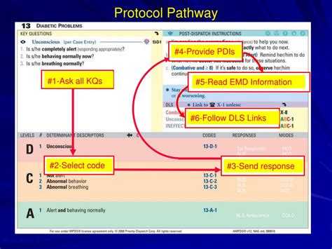 Ppt Introduction To The Mpds Coding System Powerpoint Presentation