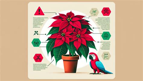 Unraveling The Poinsettia Bird Controversy Are They Really Poisonous