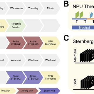 Schematic Of The Study And Task Designs A Diagram Showing Download Scientific Diagram