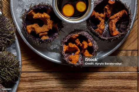 데리야끼 소스와 메추라기 노른자를 곁들인 성게 성게 몇 마리가 접시에 열려 있습니다 접시 바닥에는 잘게 으깬 얼음이 있고