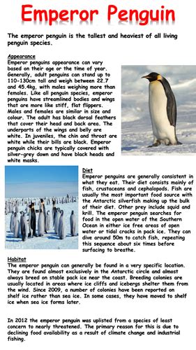 Informative Text Examples