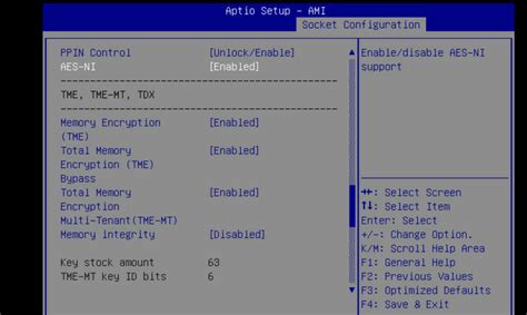 How Do We Enable Intel Tme Total Memory Encryption And Evaluate Its Effectiveness Intel